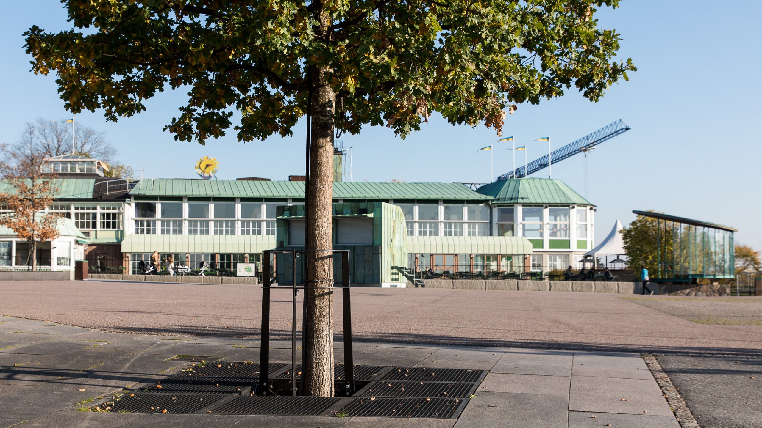 JOM är störst på kompletta trädskydd - JOM